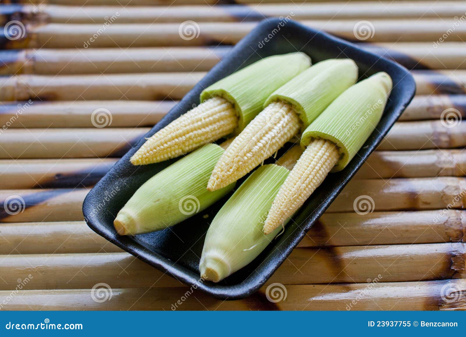 Baby Corn stock image. Image of yellow, nutrient, sweetcorn - 23937755