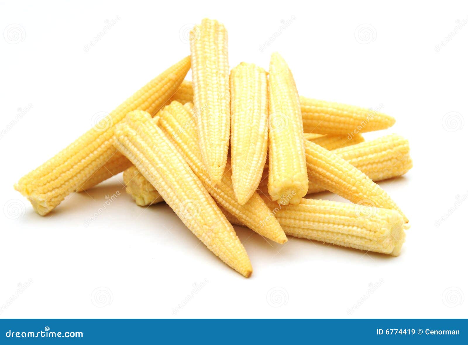 Baby corn stock image. Image of food, healthy, yellow - 6774419