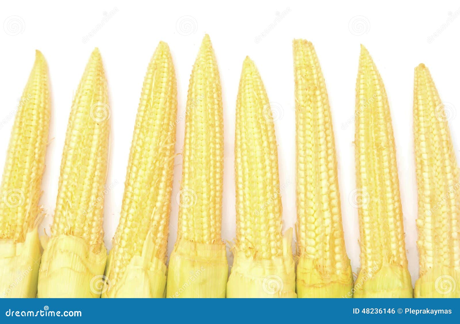 Baby corn background stock photo. Image of detail, organic - 48236146