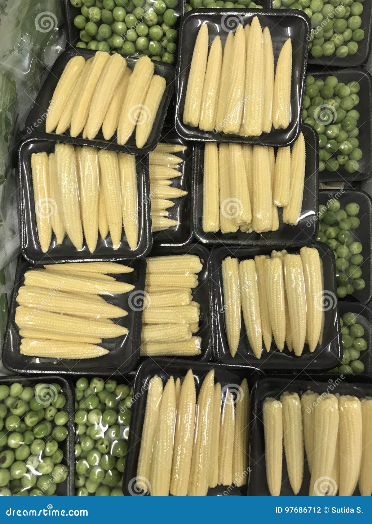 Baby corn stock photo. Image of lifestyle, cooking, market - 97686712