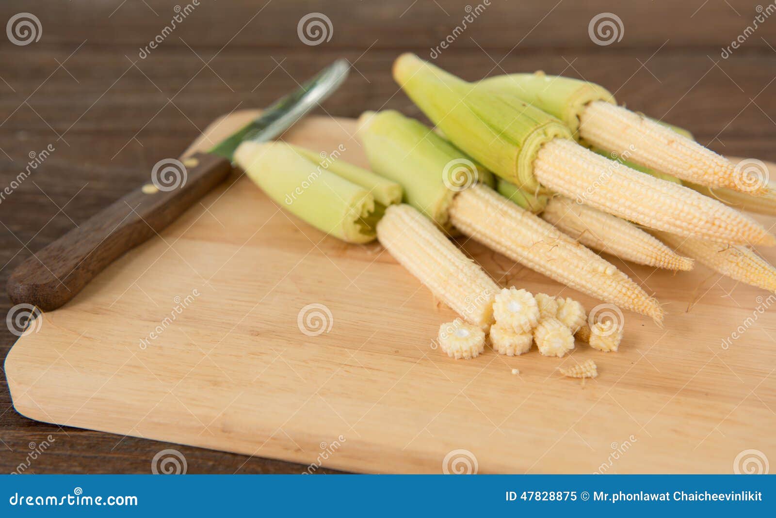 Baby corn stock image. Image of food, healthy, baby, sweetcorn - 47828875