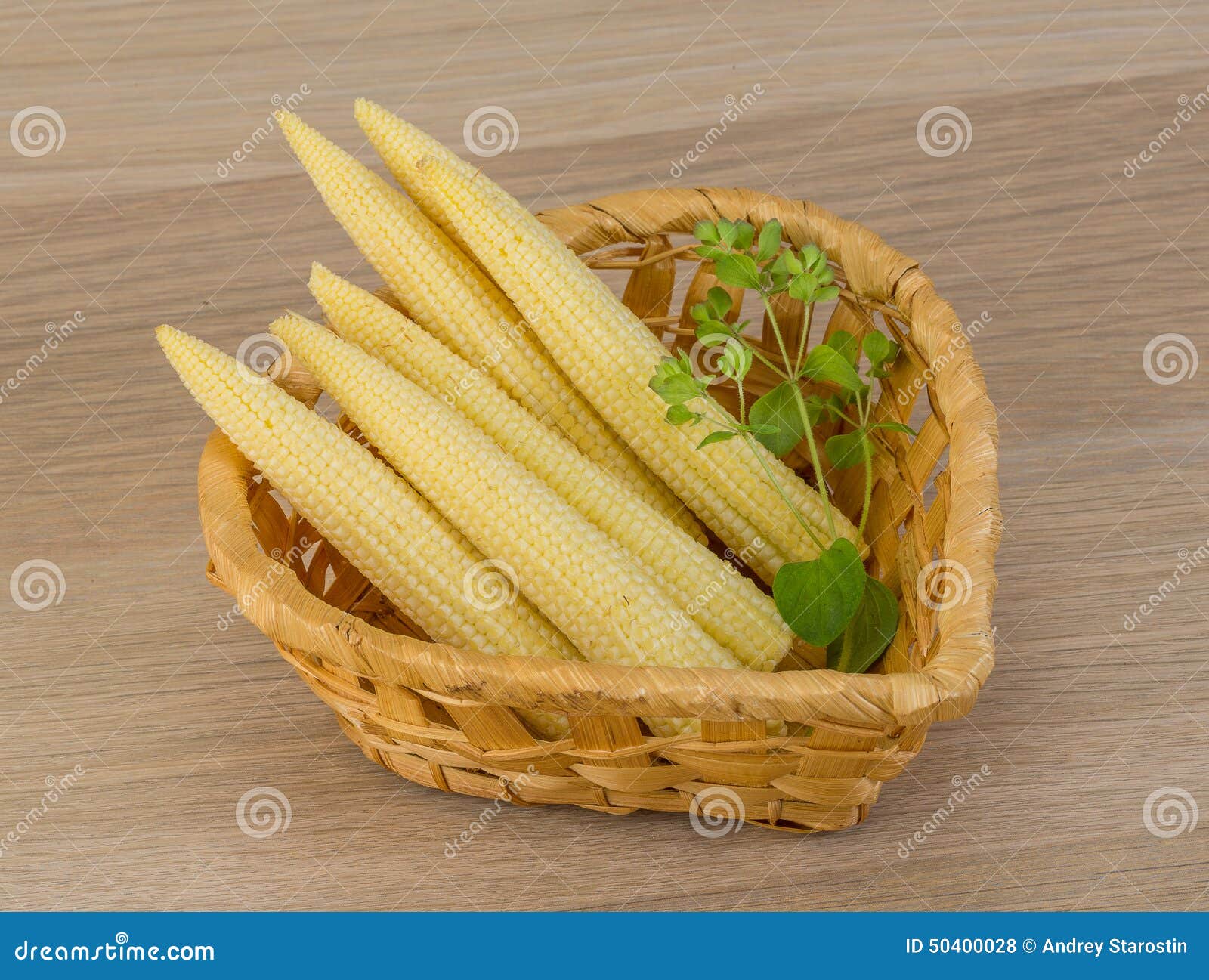 Baby corn stock photo. Image of smooth, refreshment, fresh - 50400028