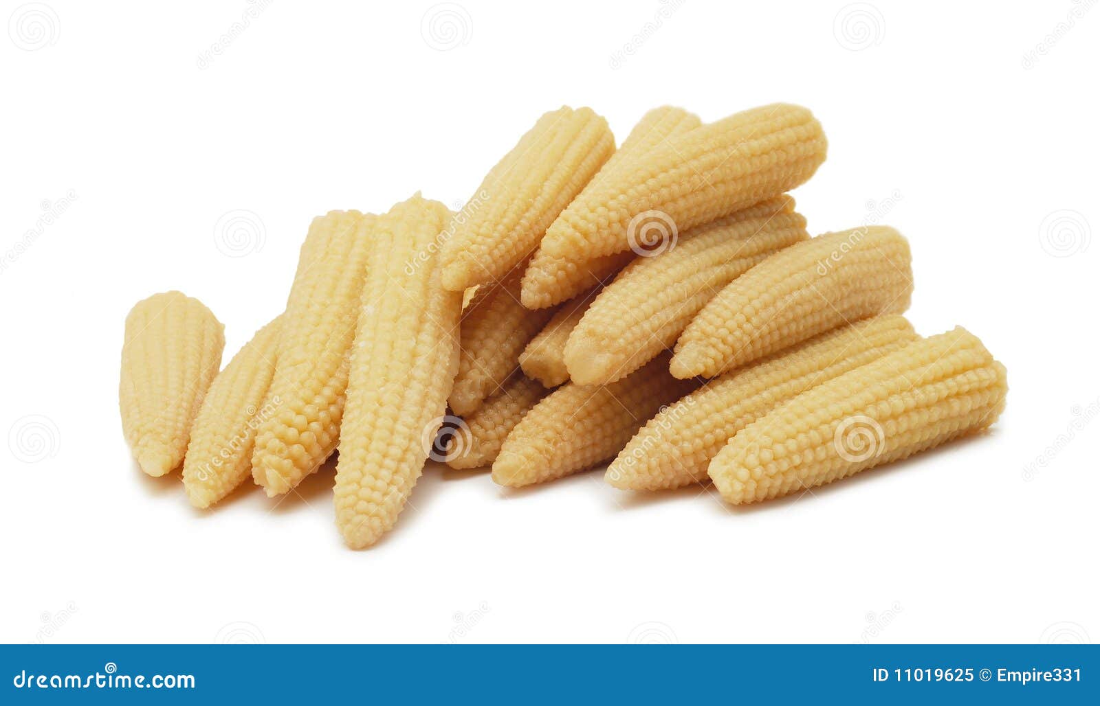 Baby corn isolated stock image. Image of vegetarian, kernels - 11019625