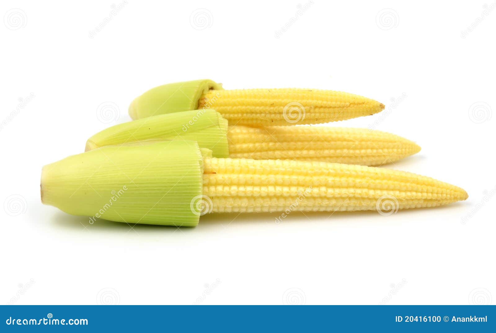 Baby Corn Fruit On Plant.Close Up Of Young Corn Hair In The Garden ...