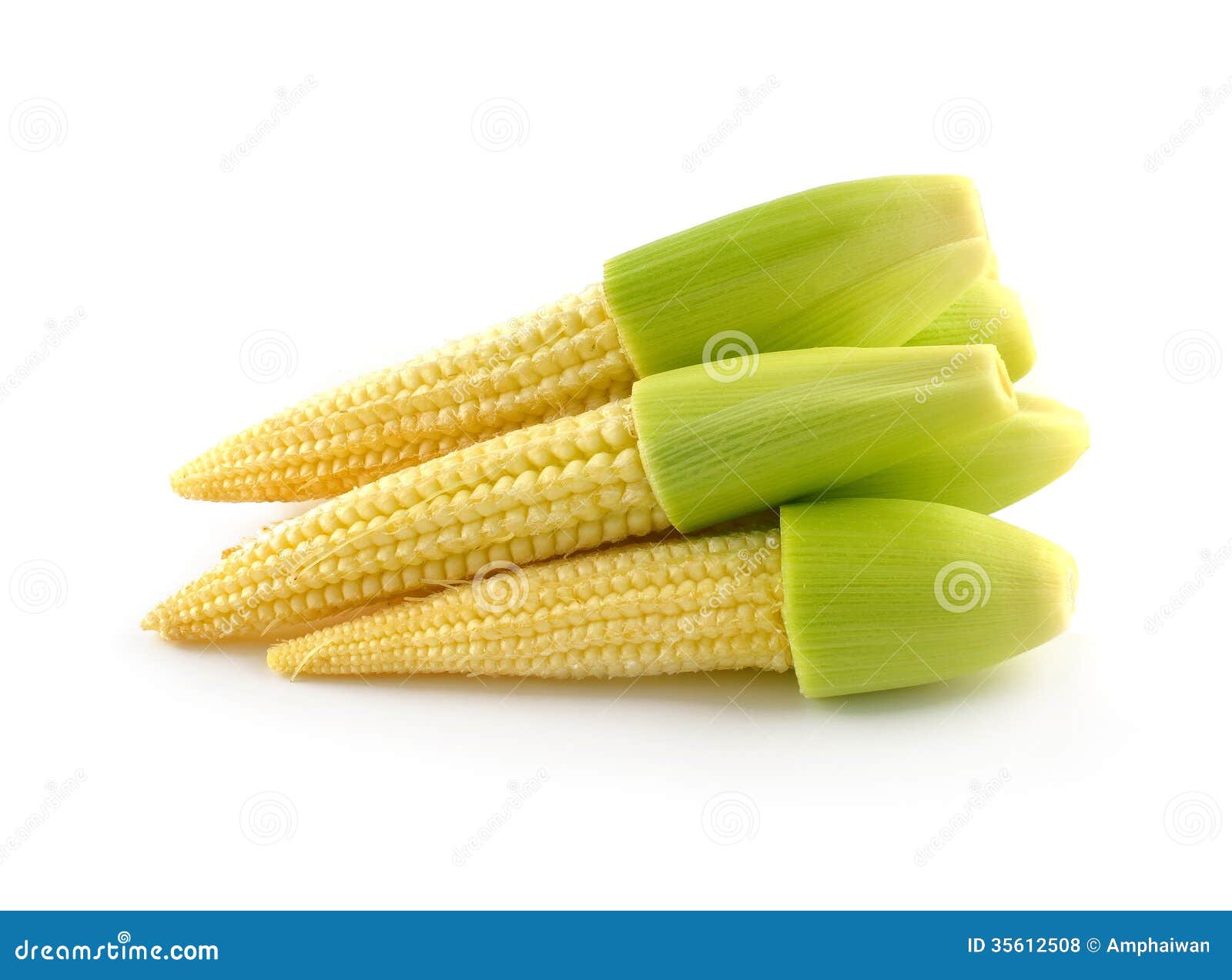 Baby corn stock photo. Image of corn, sweetcorn, nutritious - 35612508