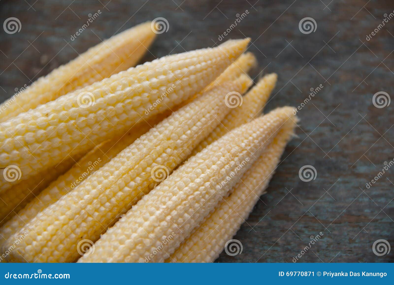 Baby Corn stock image. Image of crop, cereal, organic - 69770871