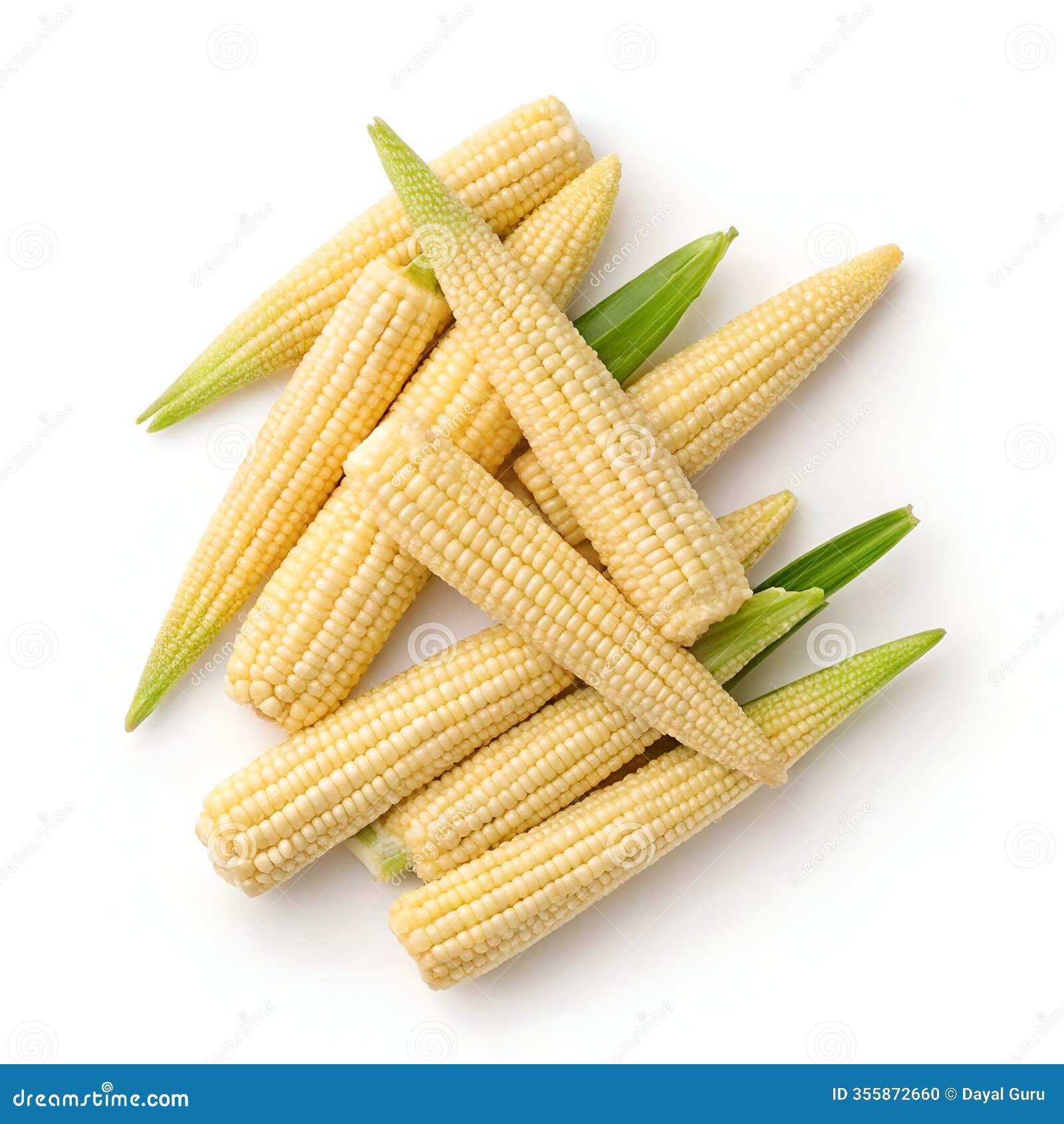 Baby Corn Top View Isolated on White Background Stock Illustration ...