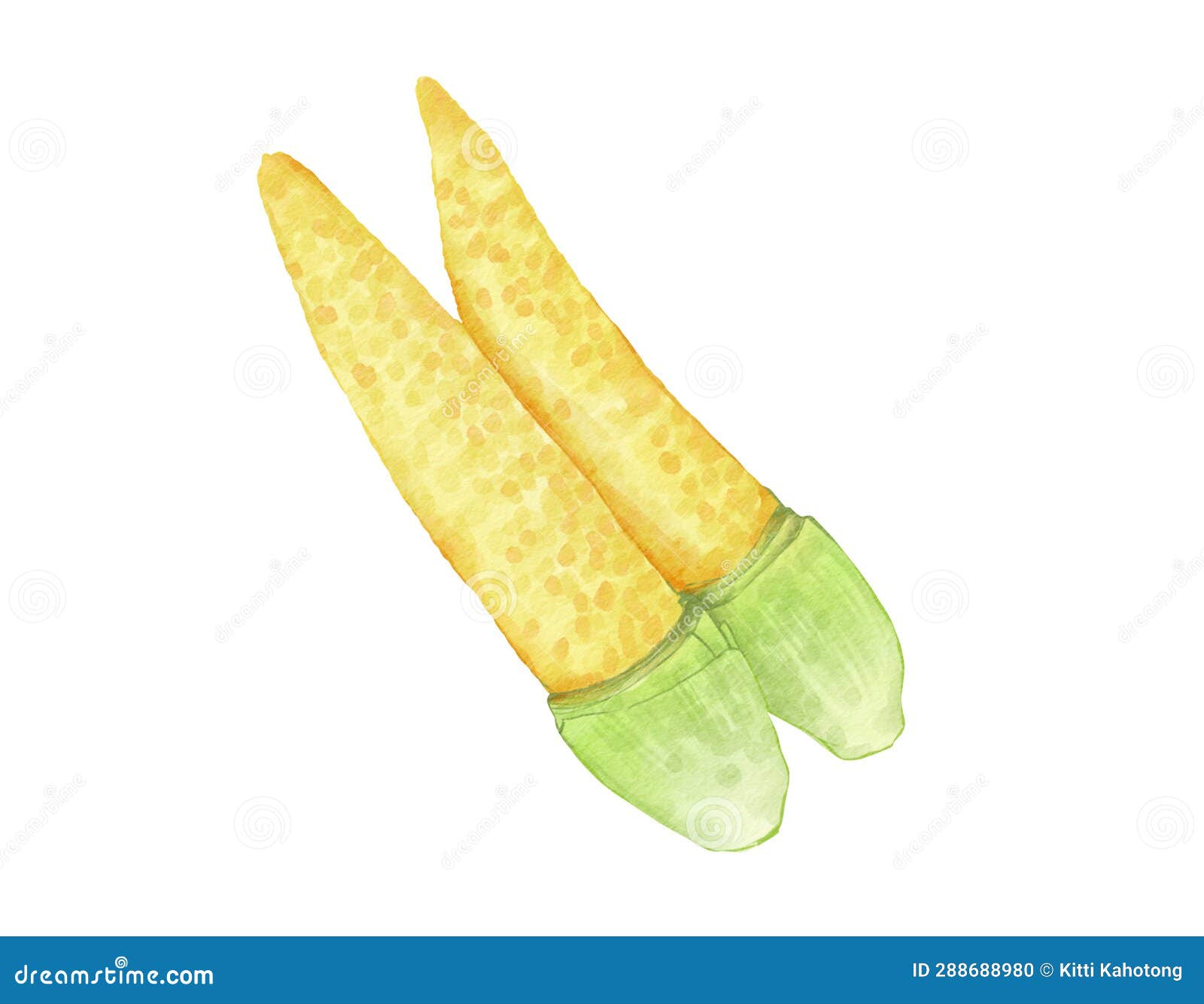 Baby Corn Watercolor Illustration Isolated Element Stock Illustration ...