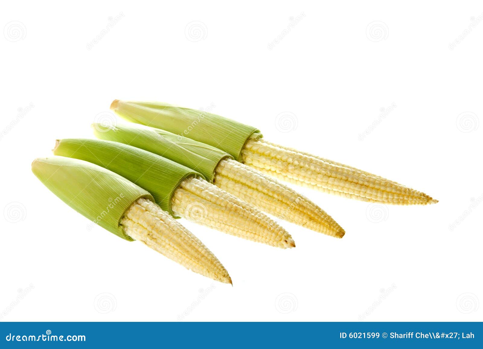 Baby Corns Isolated stock image. Image of vegetable, exotic - 6021599