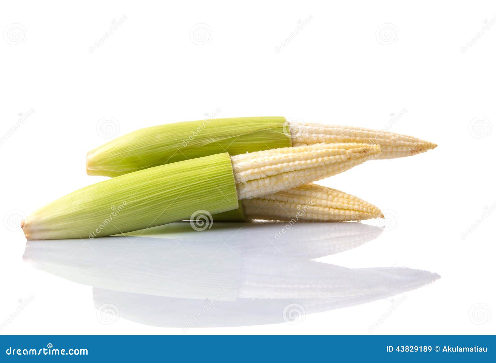 Baby Corns XI stock image. Image of corn, uncooked, healthy - 43829189