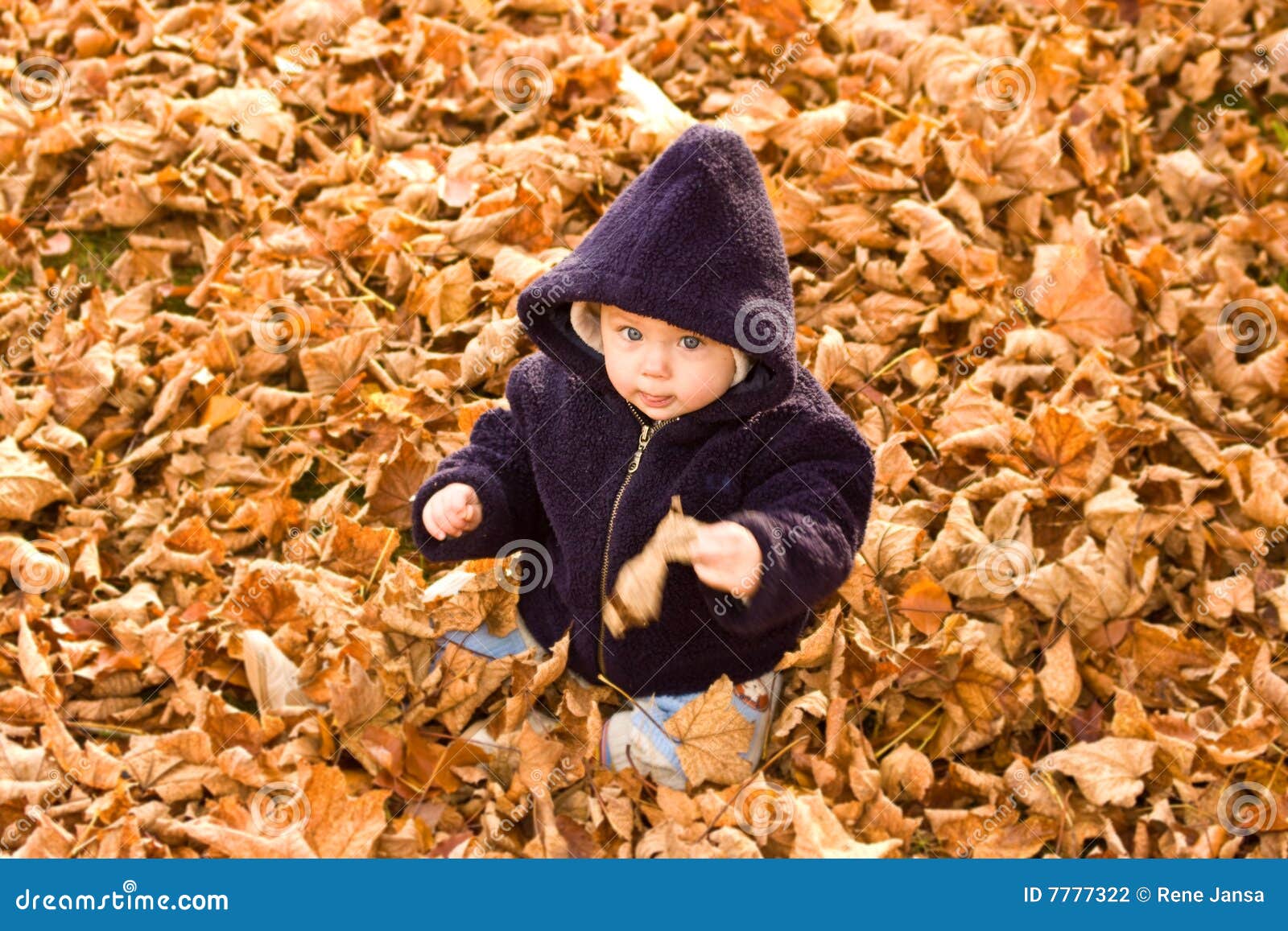Baby Covered by Autumn Leaves Stock Photo - Image of colorful, buried ...