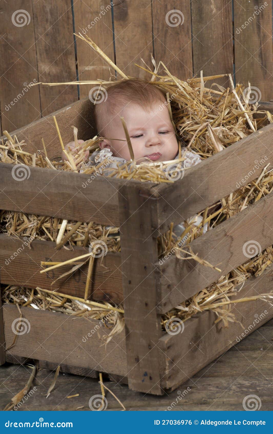 Baby in crate with straw stock photo. Image of weathered - 27036976