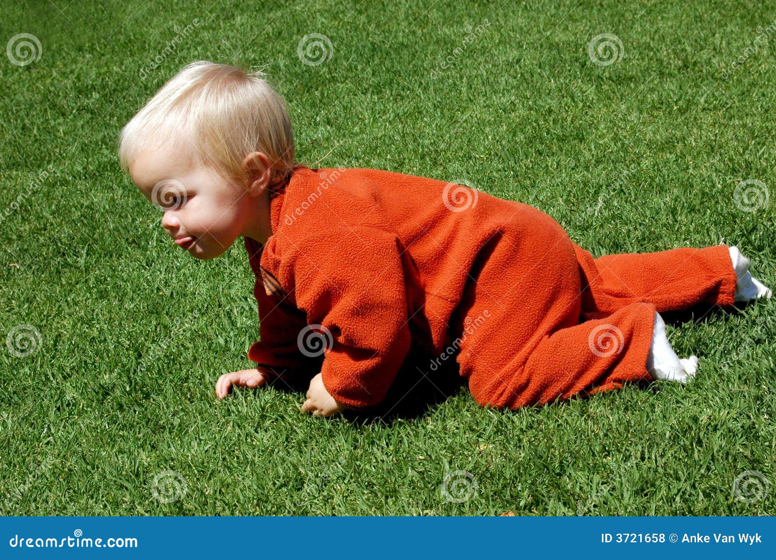 Baby crawling stock photo. Image of gorgeous, face, expression - 3721658