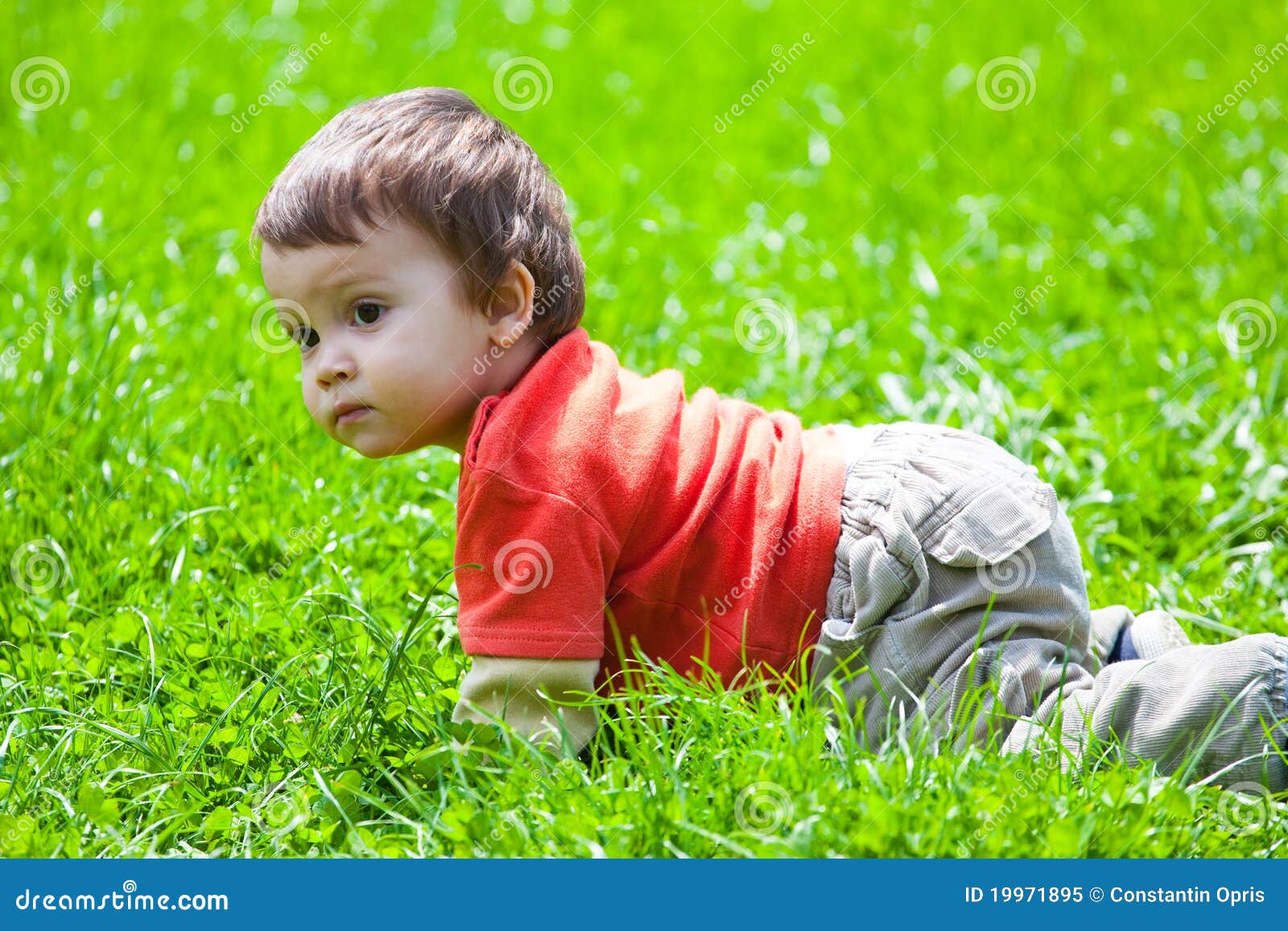 Baby crawling in grass stock image. Image of nature, child - 19971895