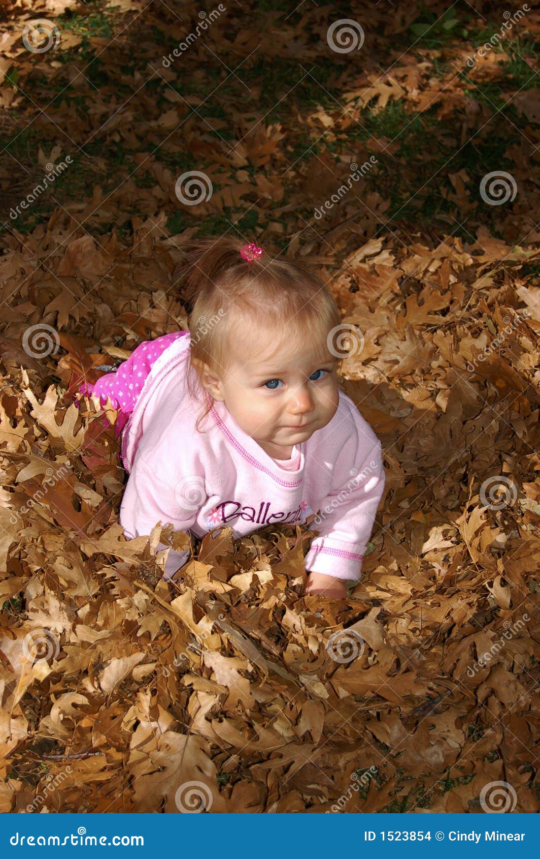 Baby Crawling in Leaves stock photo. Image of girl, infant - 1523854
