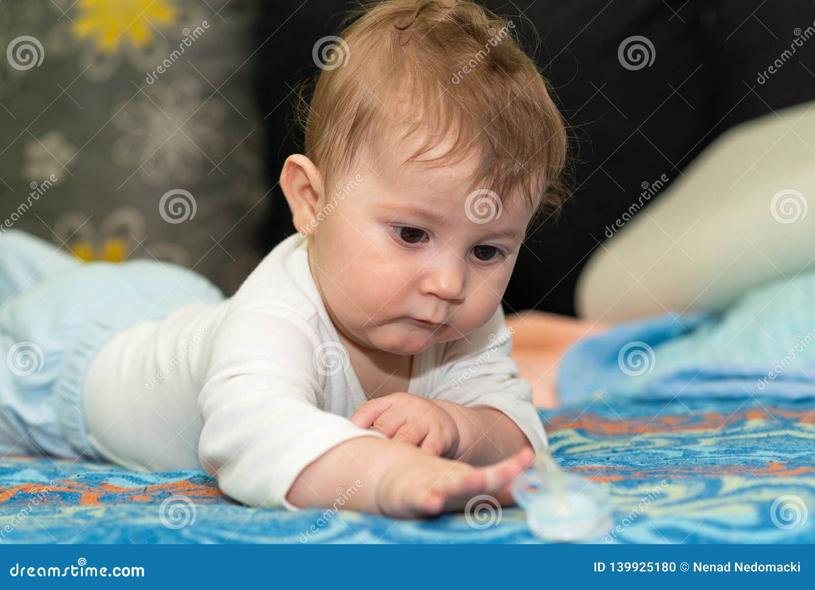 Baby Crawling Towards a Pacifer Stock Photo - Image of domestic ...