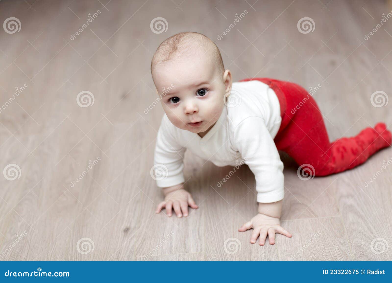 Baby creeping stock image. Image of nursery, relaxed - 23322675