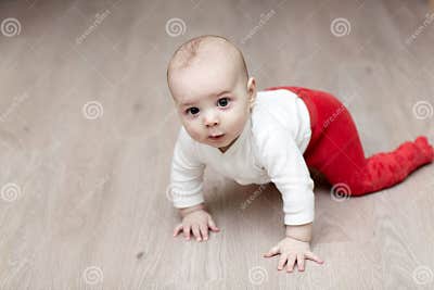 Baby creeping stock image. Image of nursery, relaxed - 23322675