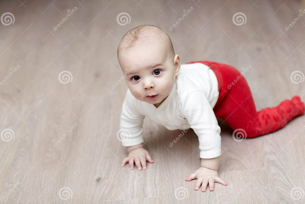 Baby creeping stock image. Image of nursery, relaxed - 23322675