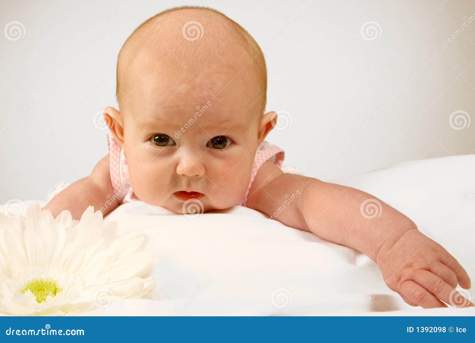 Baby Daisy stock photo. Image of lying, mouth, motherhood - 1392098