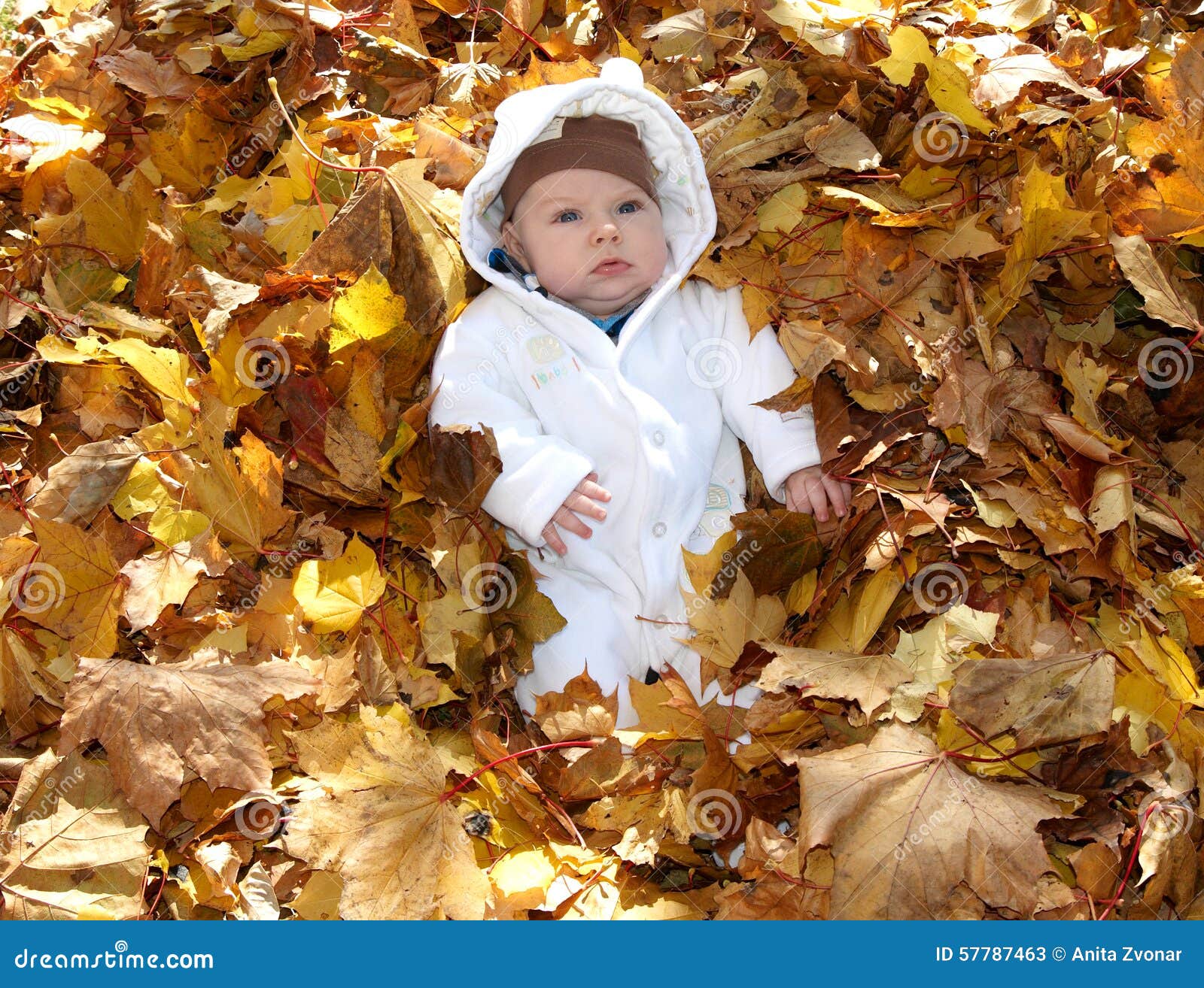Baby in De Ernstige Bladeren Stock Afbeelding - Image of baby, leggen ...