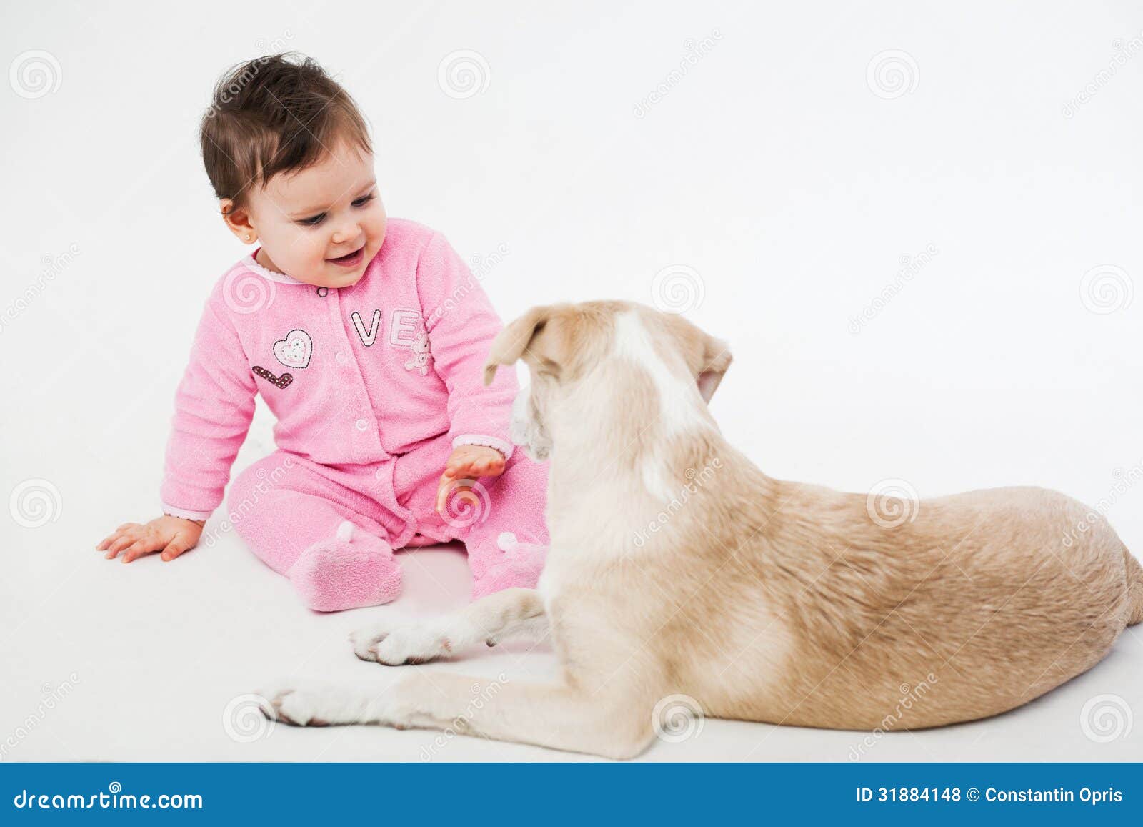 Baby and dog stock photo. Image of studio, small, playing - 31884148