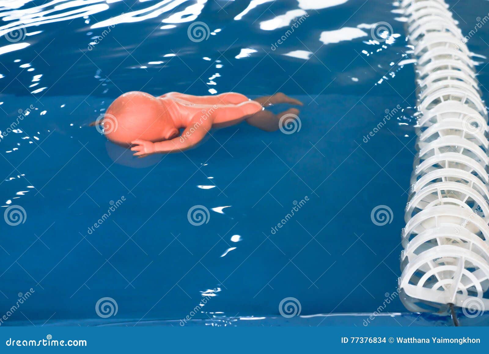 968 Doll Swimming Pool Stock Photos - Free & Royalty-Free Stock Photos ...