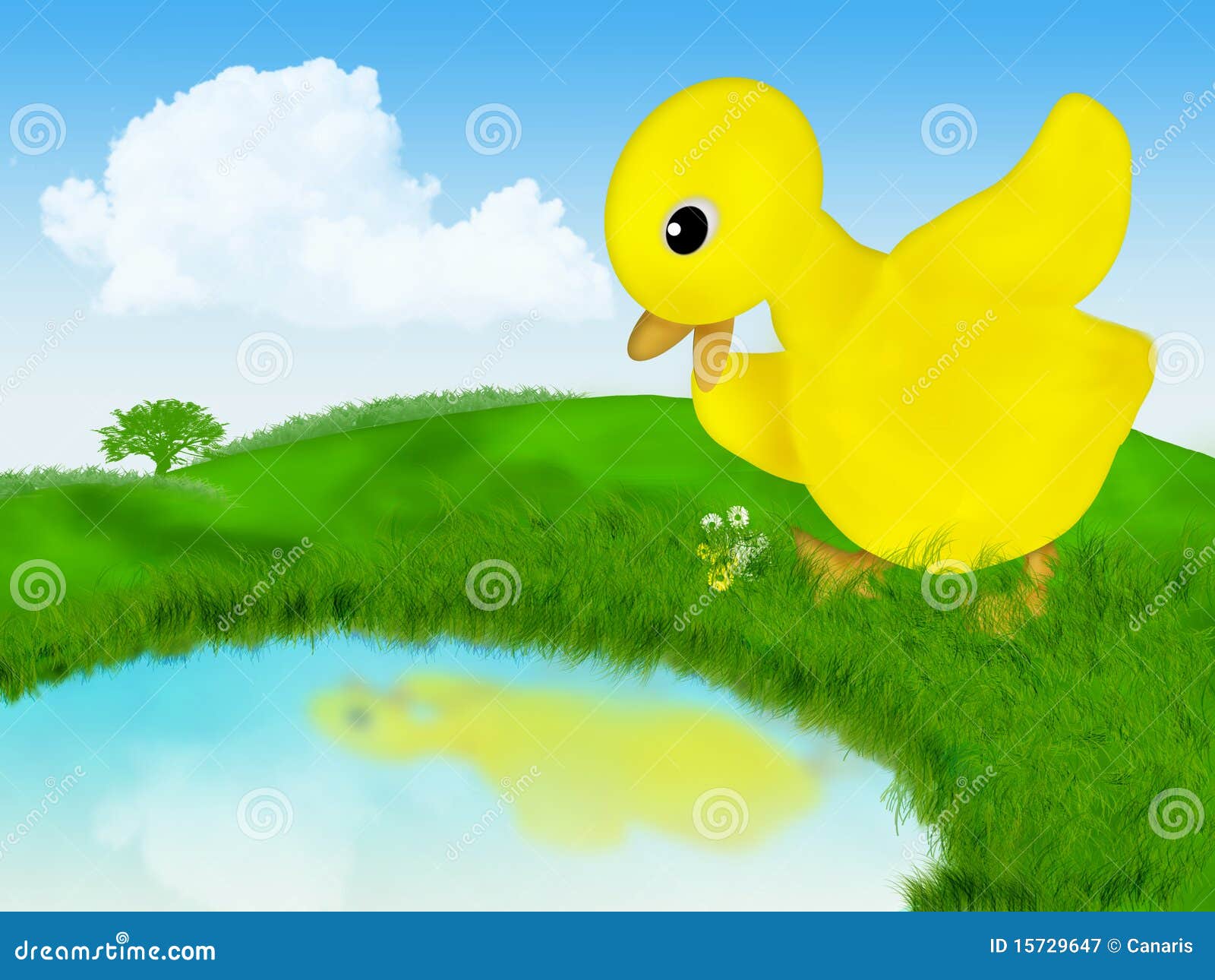 Baby Duck and His Reflection in the Lake Stock Illustration ...