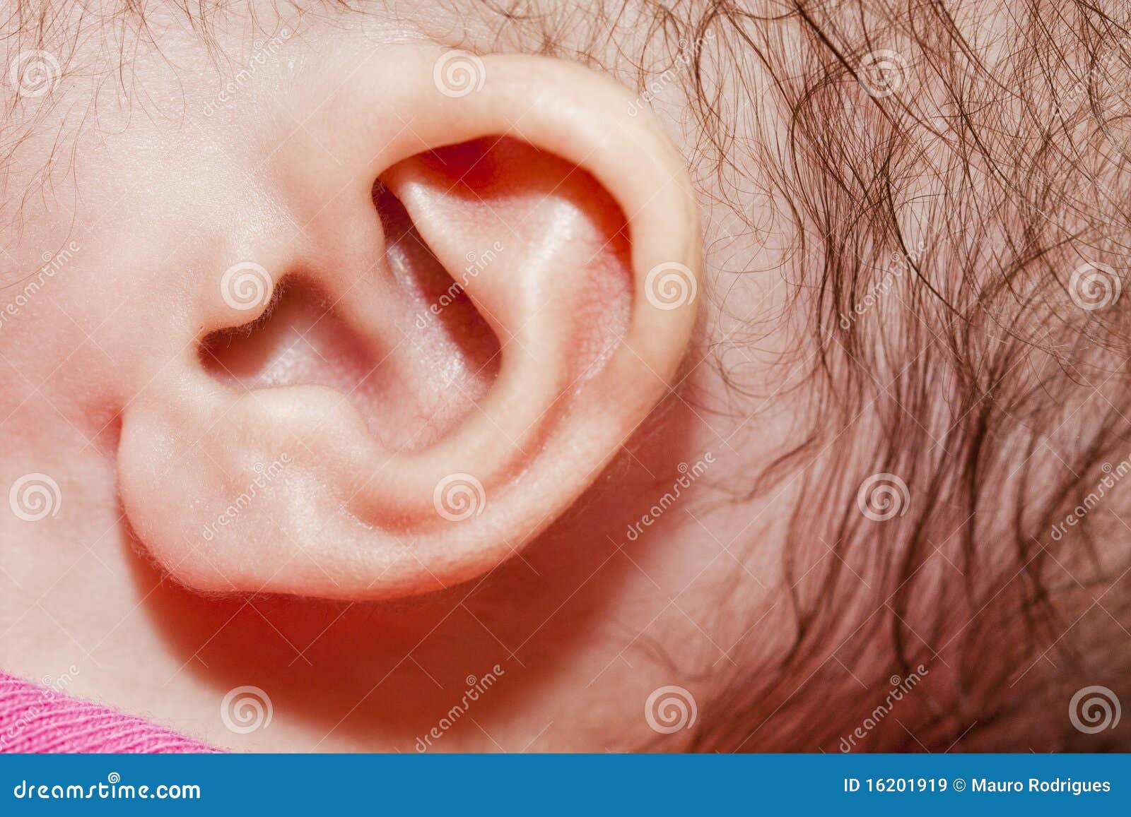 Royalty Free Images, Cartoons, Illustrations And Photos Designed By ...