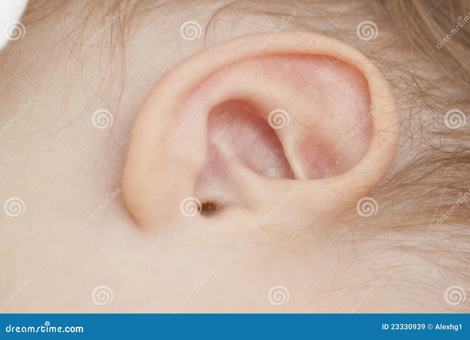 Baby ear stock image. Image of cute, clean, care, health - 23330939