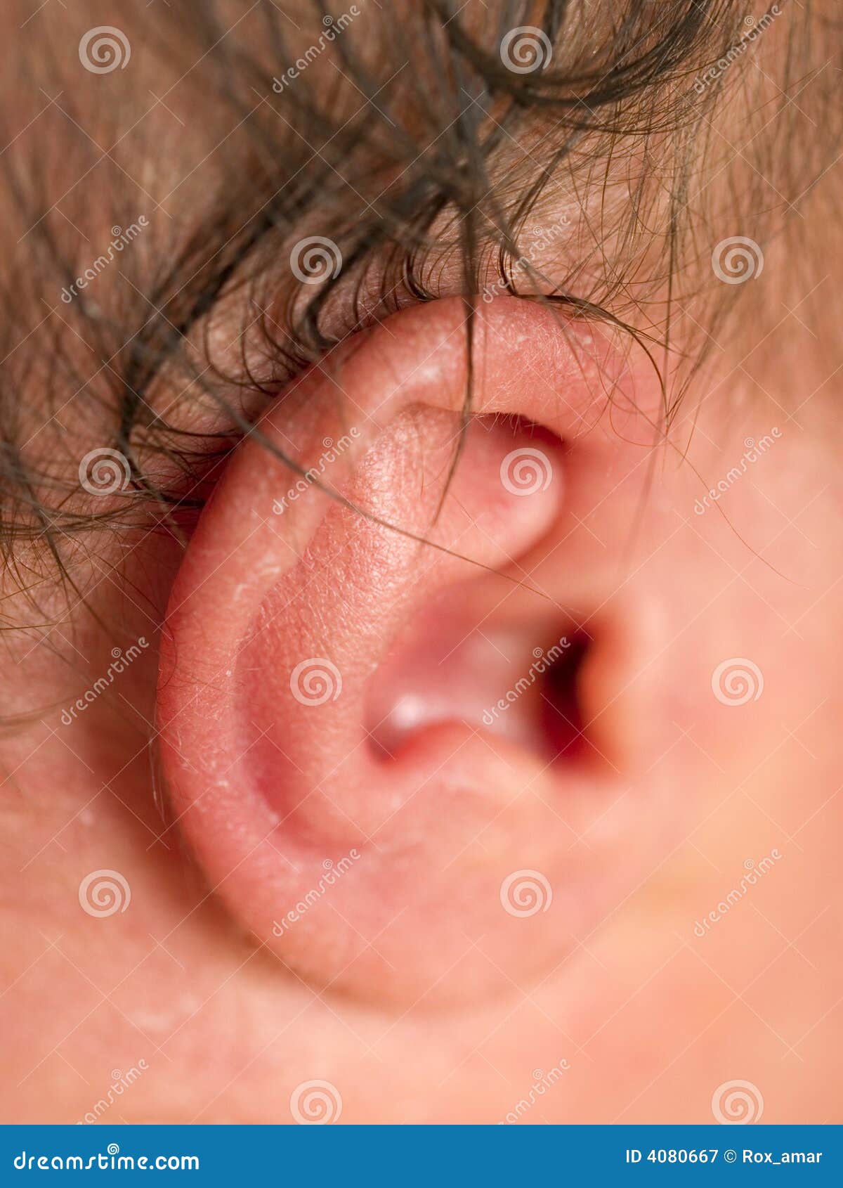 Baby ear stock image. Image of sound, hair, born, listen - 4080667
