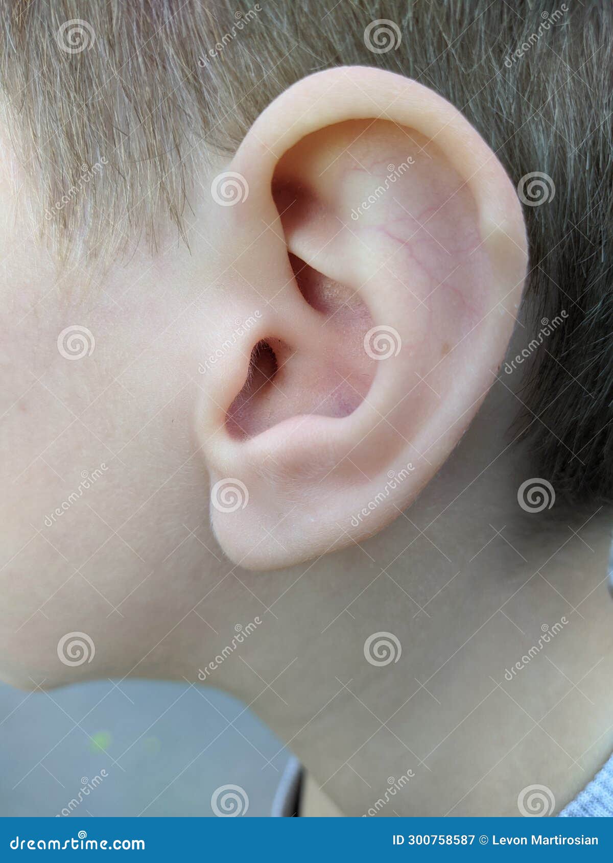 Baby Ear Side View Close Up. Stock Image - Image of little, macro ...
