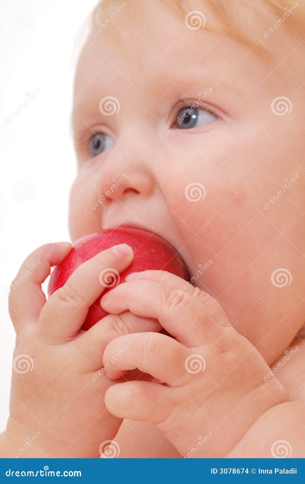 Baby eating apple stock photo. Image of life, copy, care - 3078674