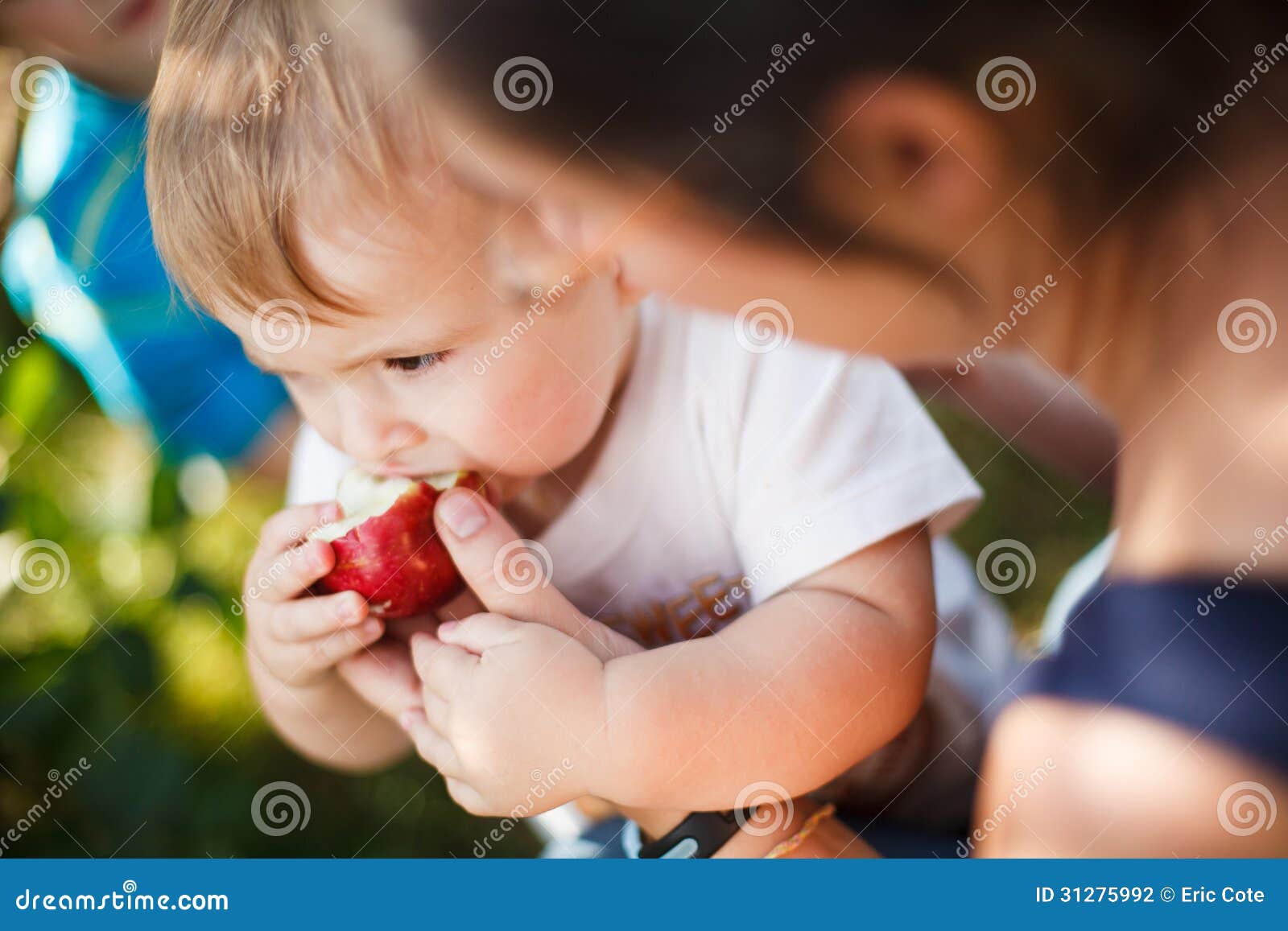 Baby eating an apple stock photo. Image of parenting - 31275992