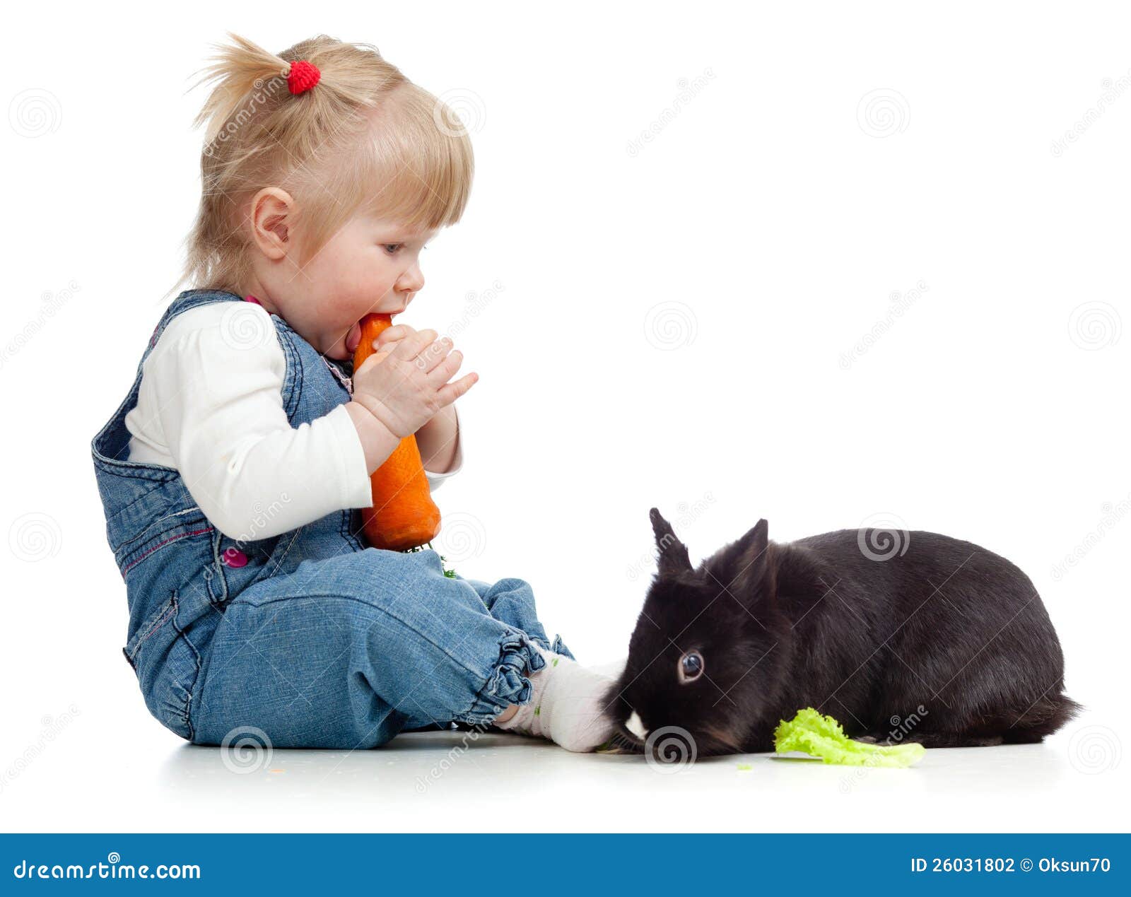 Baby Eating a Carrot and Feeding Rabbit Stock Photo - Image of healthy ...