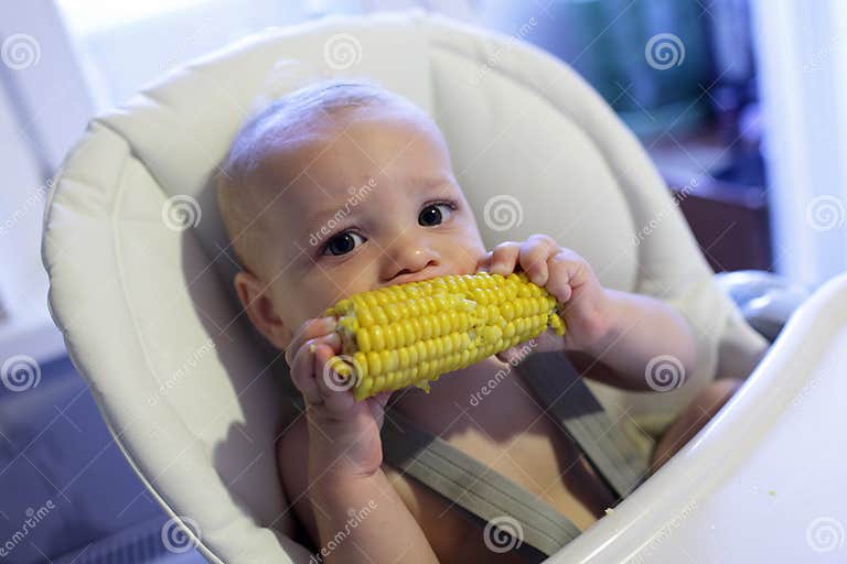 Baby eating corn stock photo. Image of home, baby, little - 26559676