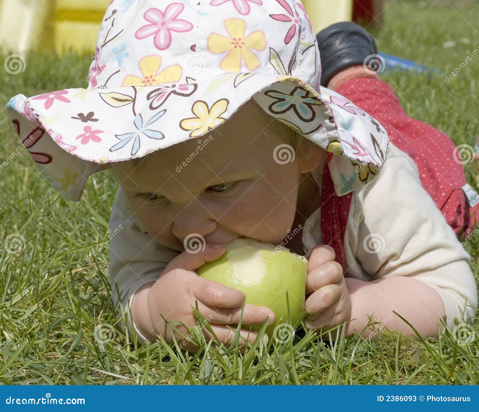 Baby eating a green apple stock image. Image of detail - 2386093 Baby eating a green apple stock image. Image of detail - 2386093