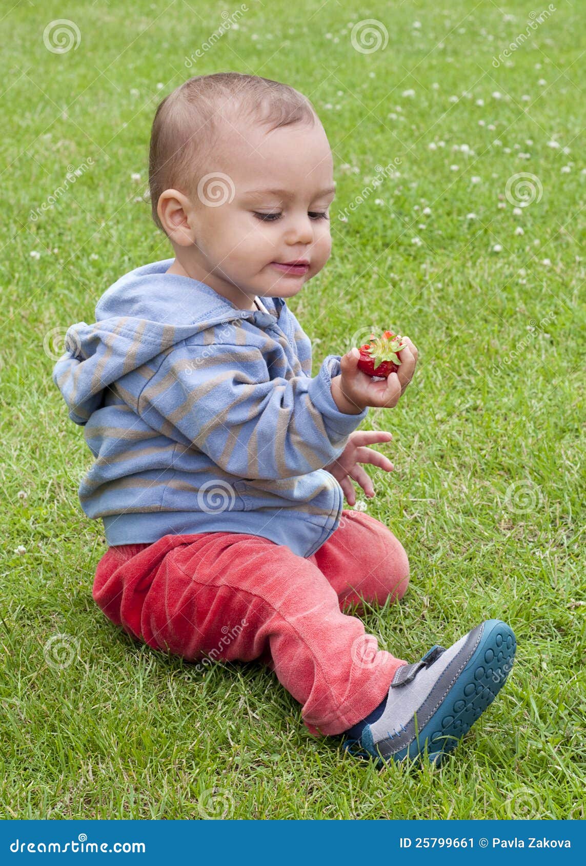 Baby eating strawberry stock image. Image of kids, girl - 25799661