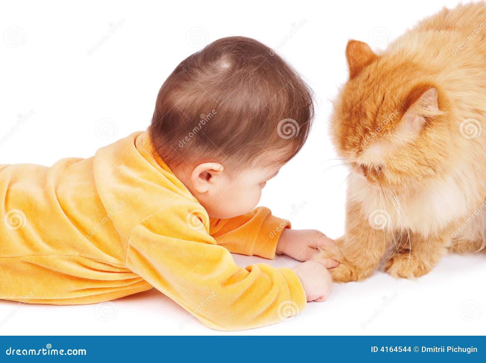 Baby en kat stock foto. Image of bont, katachtig, metgezel - 4164544