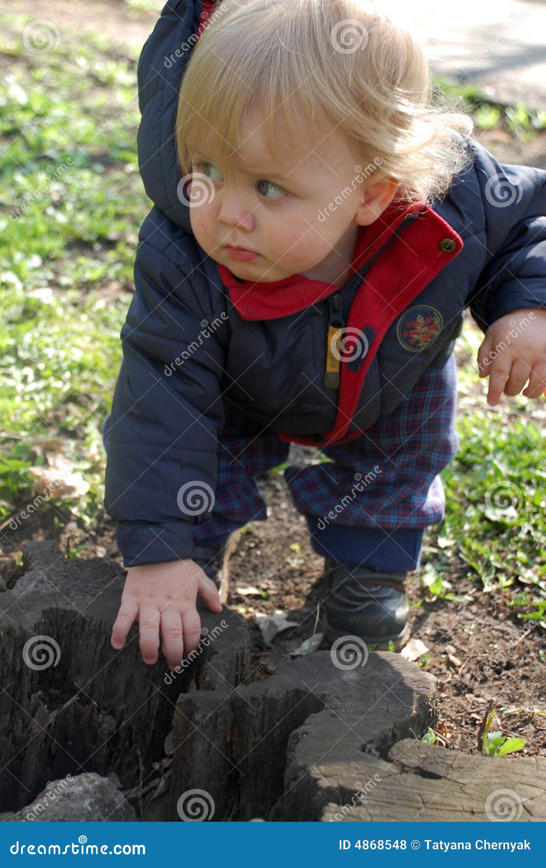 Baby en stomp stock foto. Image of tribune, zoet, jongen - 4868548