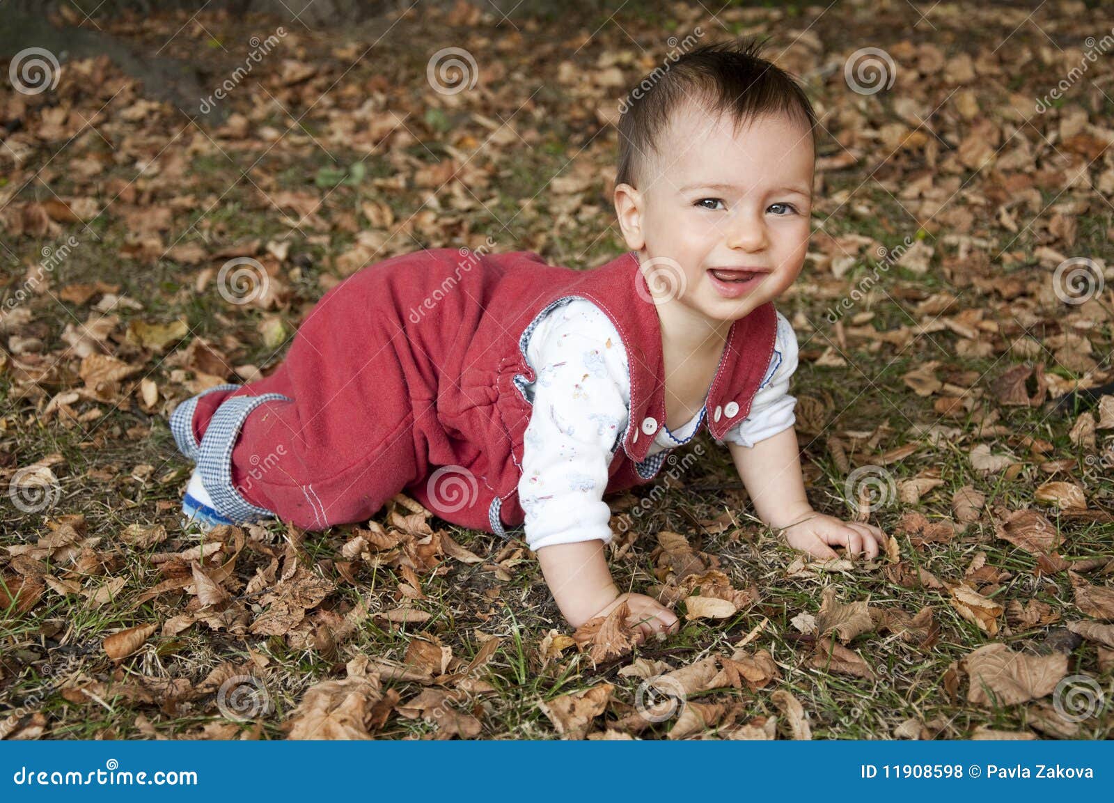 Baby exploring stock photo. Image of autumn, hand, expression - 11908598