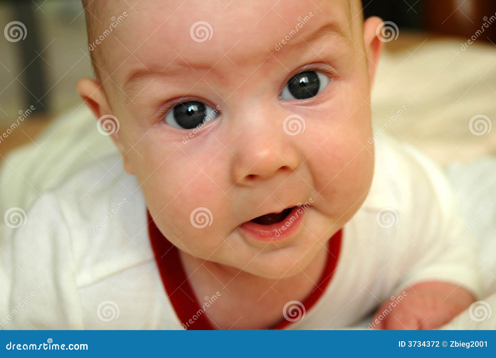Baby Expressions stock photo. Image of child, alert, cute - 3734372