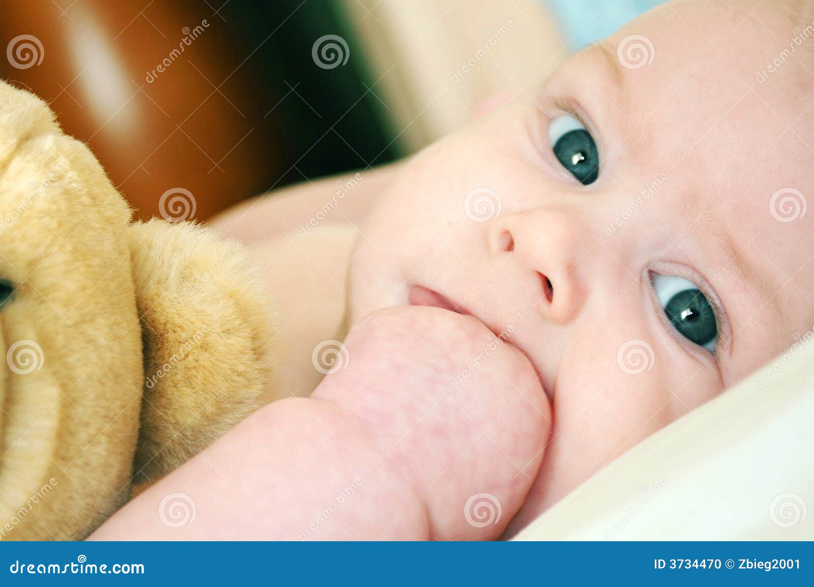 Baby Eyes stock photo. Image of baby, eyes, adorable, innocence - 3734470
