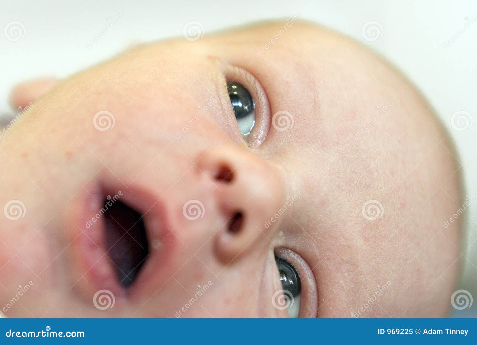 Baby Eyes stock image. Image of girl, isolated, descendant - 969225