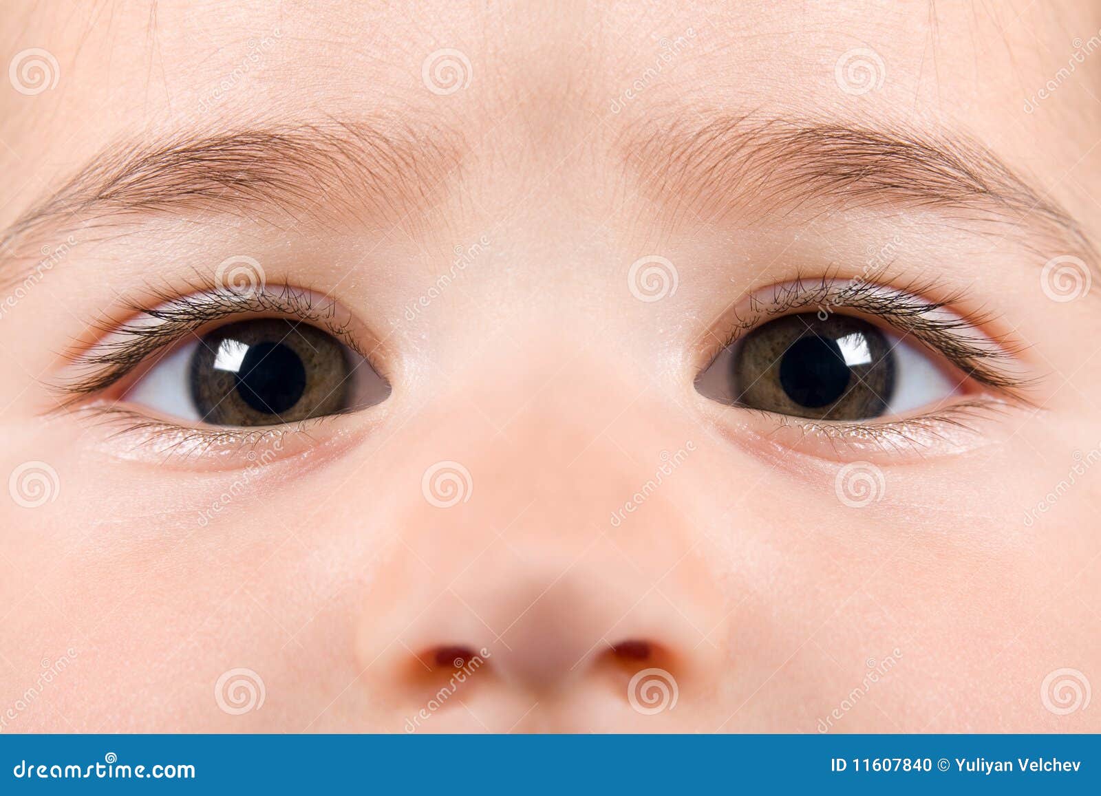 Baby face stock photo. Image of macro, face, eyebrow - 11607840