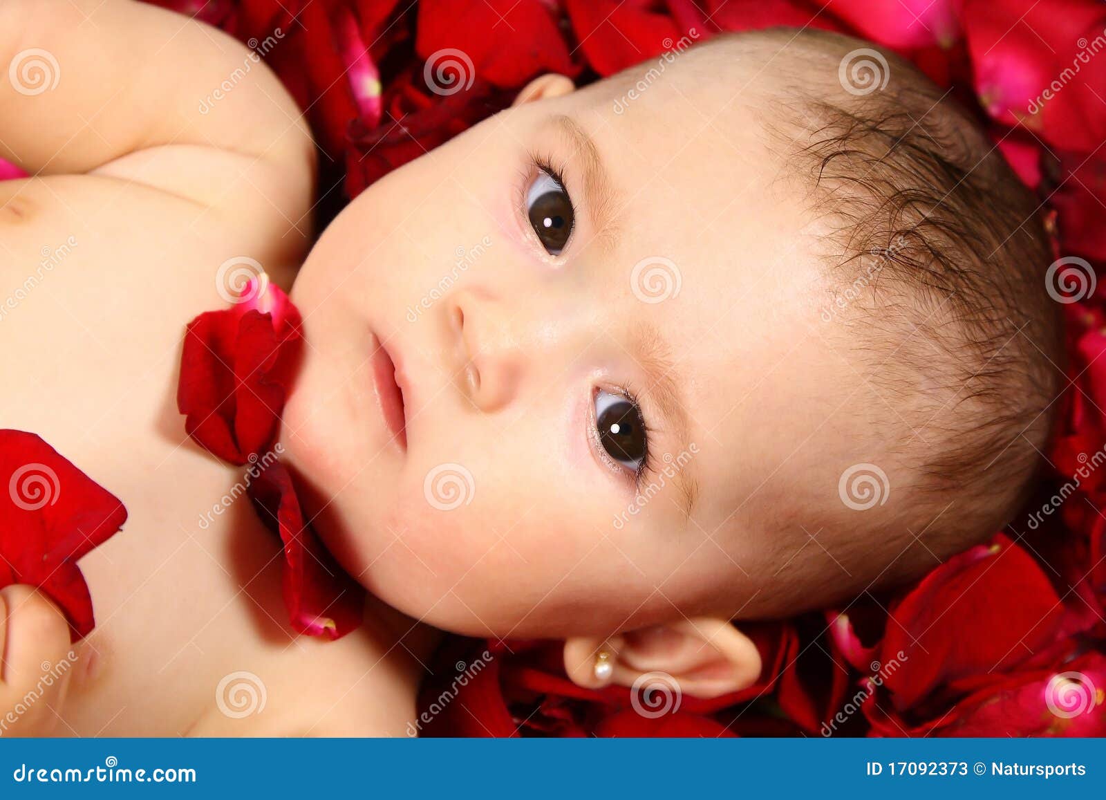 Baby face stock image. Image of rose, eyes, cute, baby - 17092373