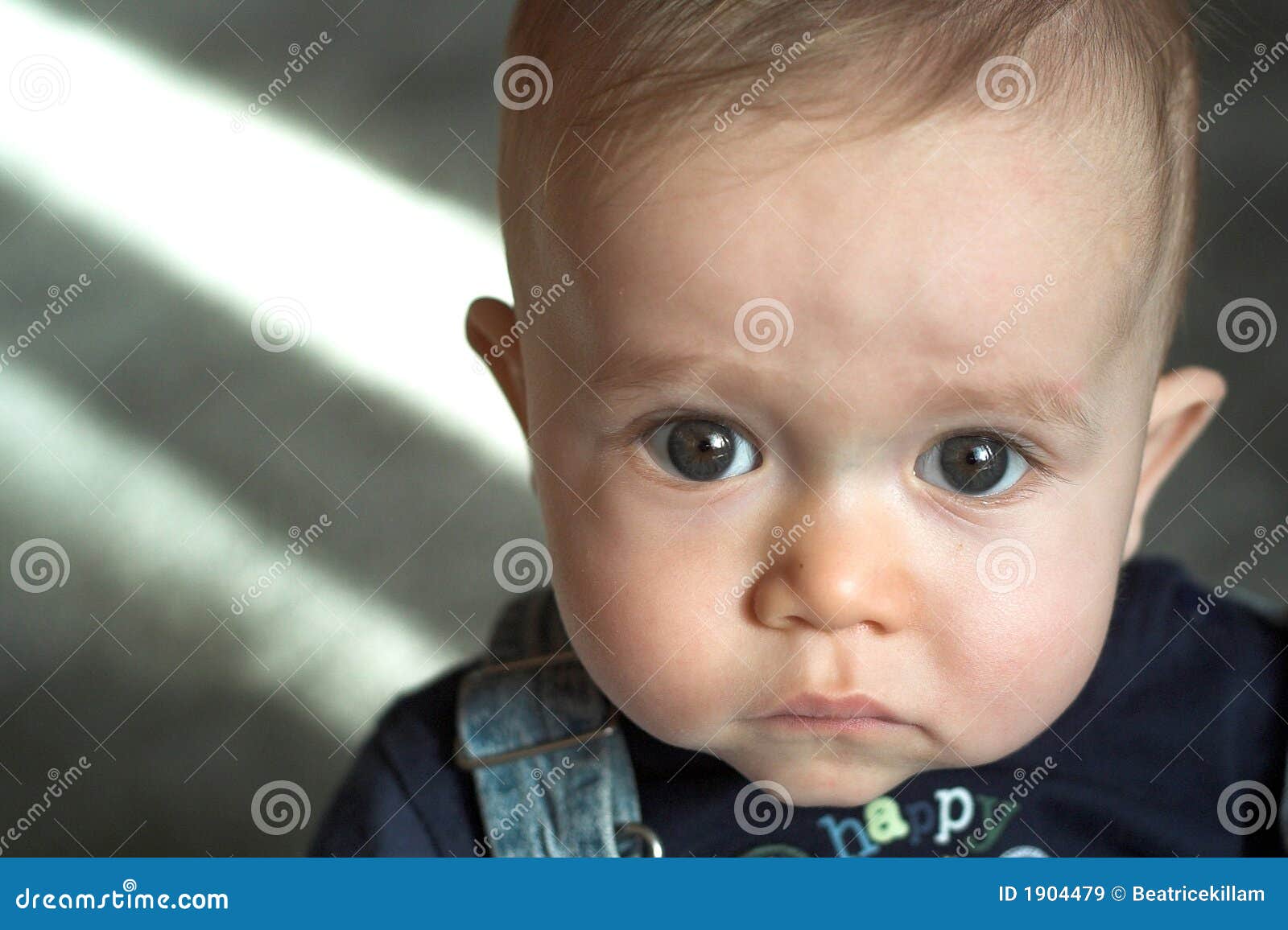 Baby Face stock image. Image of round, gaze, face, expressive - 1904479
