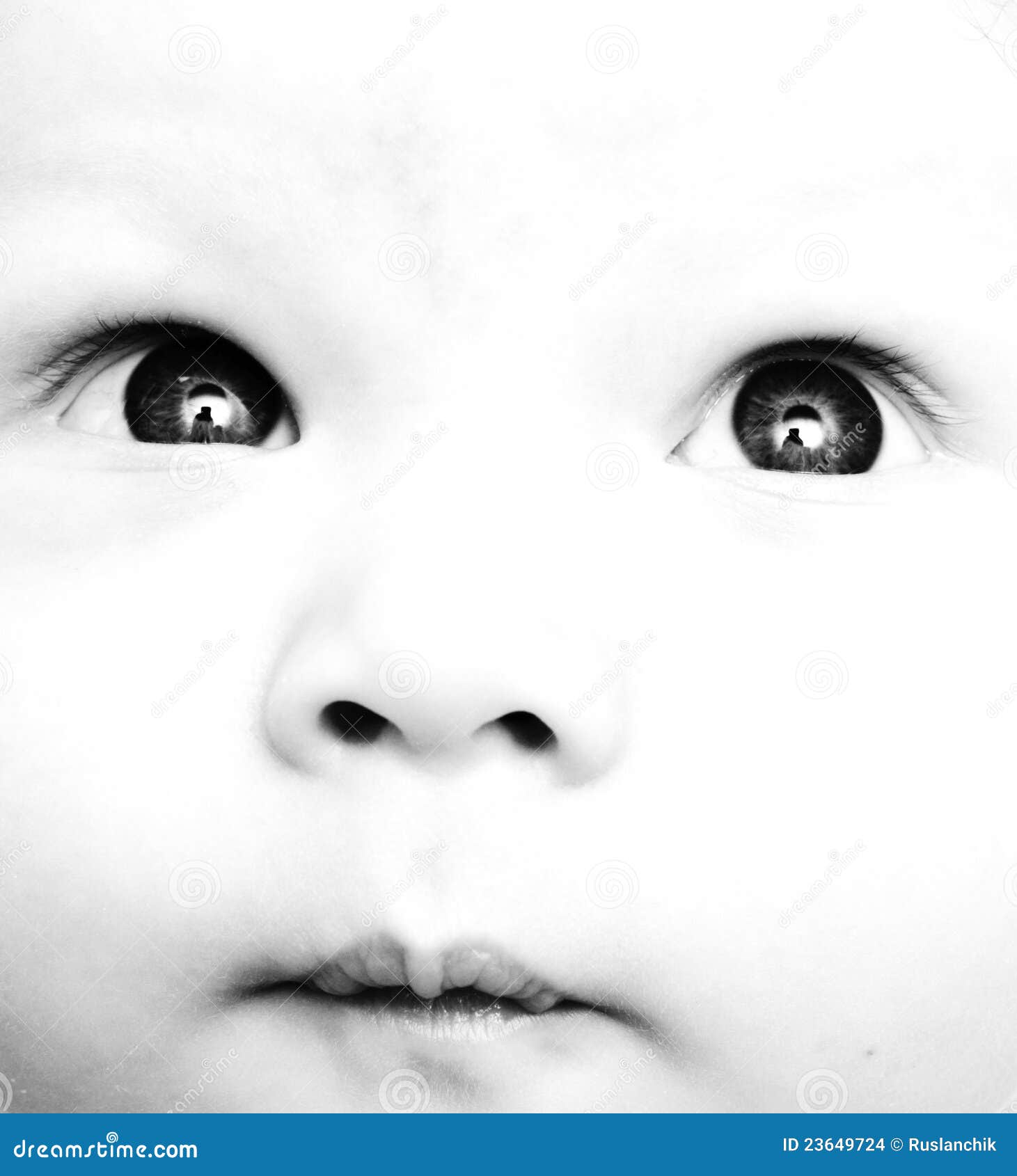 Baby face stock photo. Image of offspring, isolated, fragile - 23649724