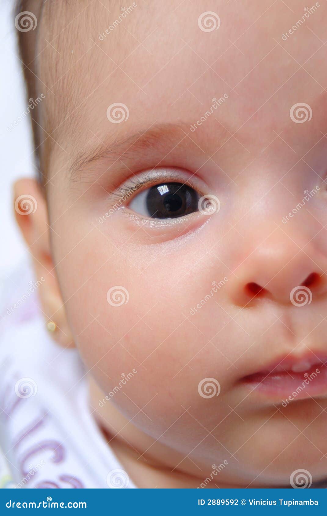 Baby Face stock photo. Image of born, portrait, glance - 2889592