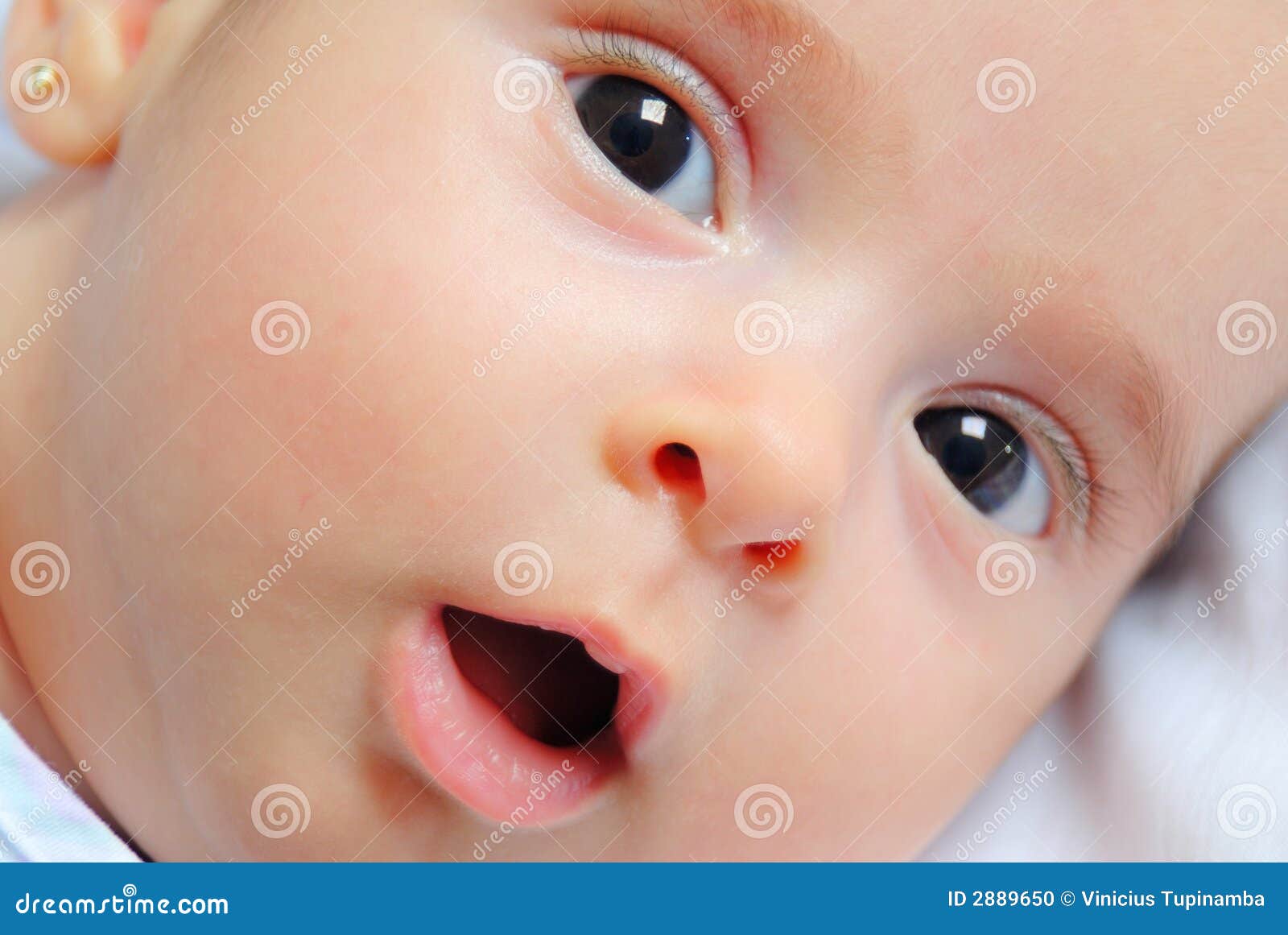 Baby Face stock photo. Image of child, young, portrait - 2889650